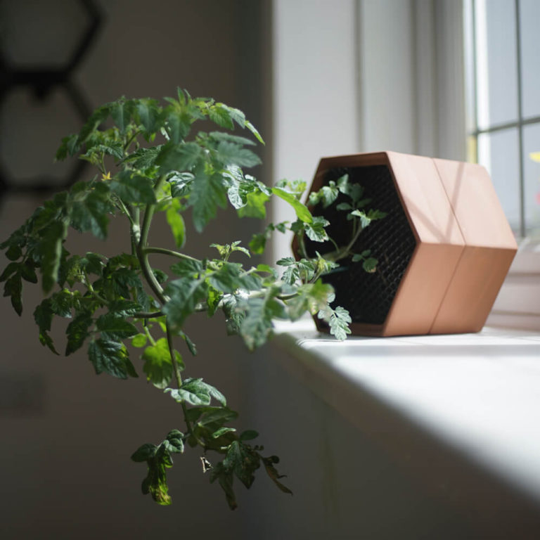 Indoor living wall kit | Extra large kit (24 planters 12 frames ...