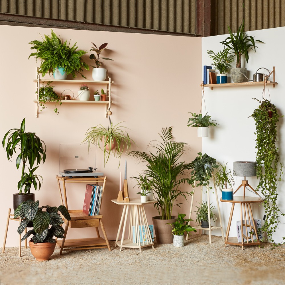 Natural Design Shop: Green interiors & Natural Wellbeing